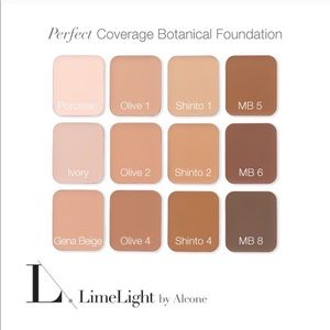 Limelight | Makeup | Limelifelimelight By Alcone Perfect Foundation ...